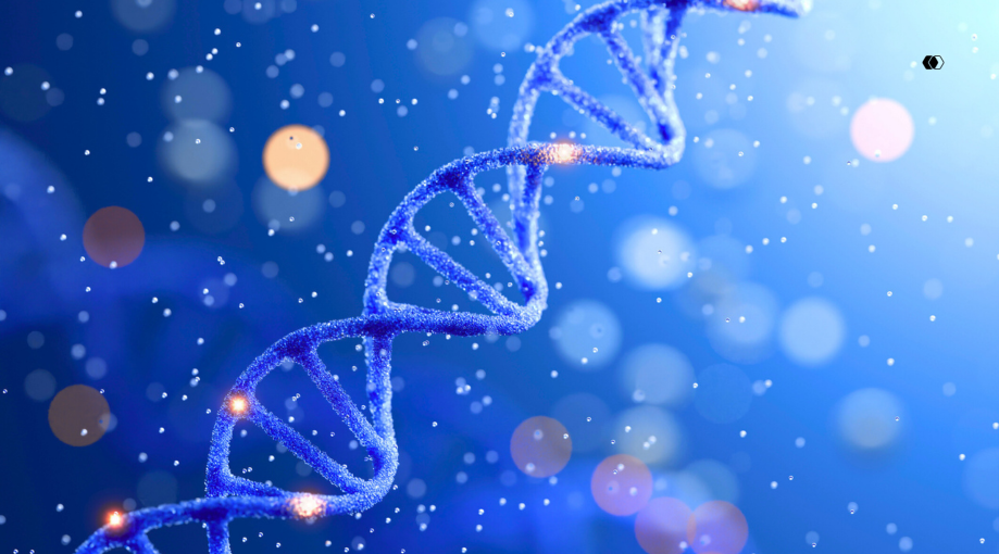 Skin Longevity Ingredients and Supplements: The Science Behind the Hyp